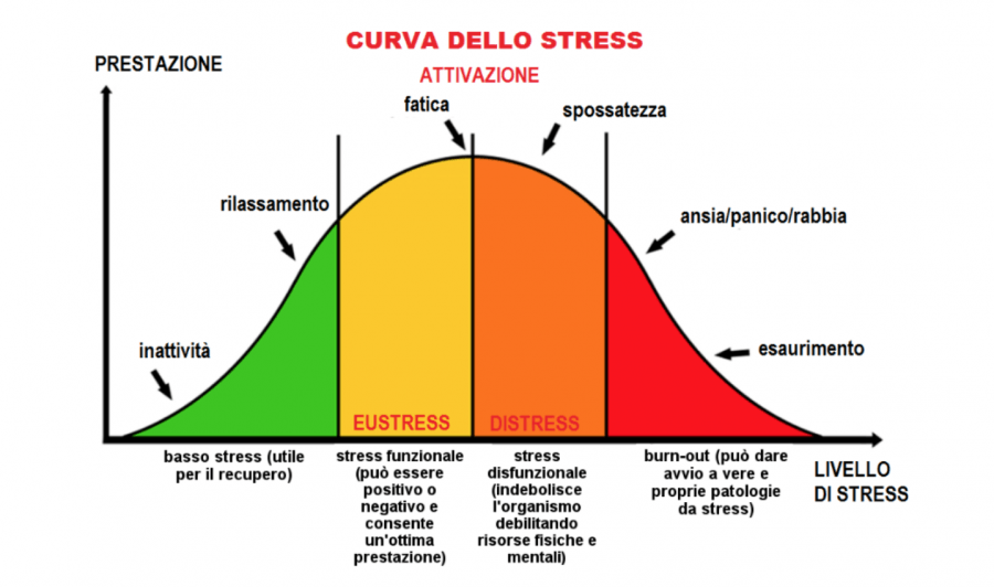 Stress, eustress (buono) e distress (nocivo) – Combattere lo stress ...